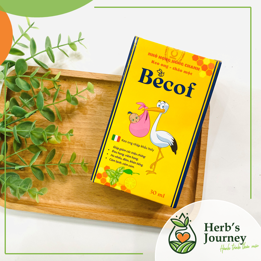 Nhỏ họng Becof - nhỏ họng húng chanh, keo ong,thảo mộc- Công ty CP DP ...
