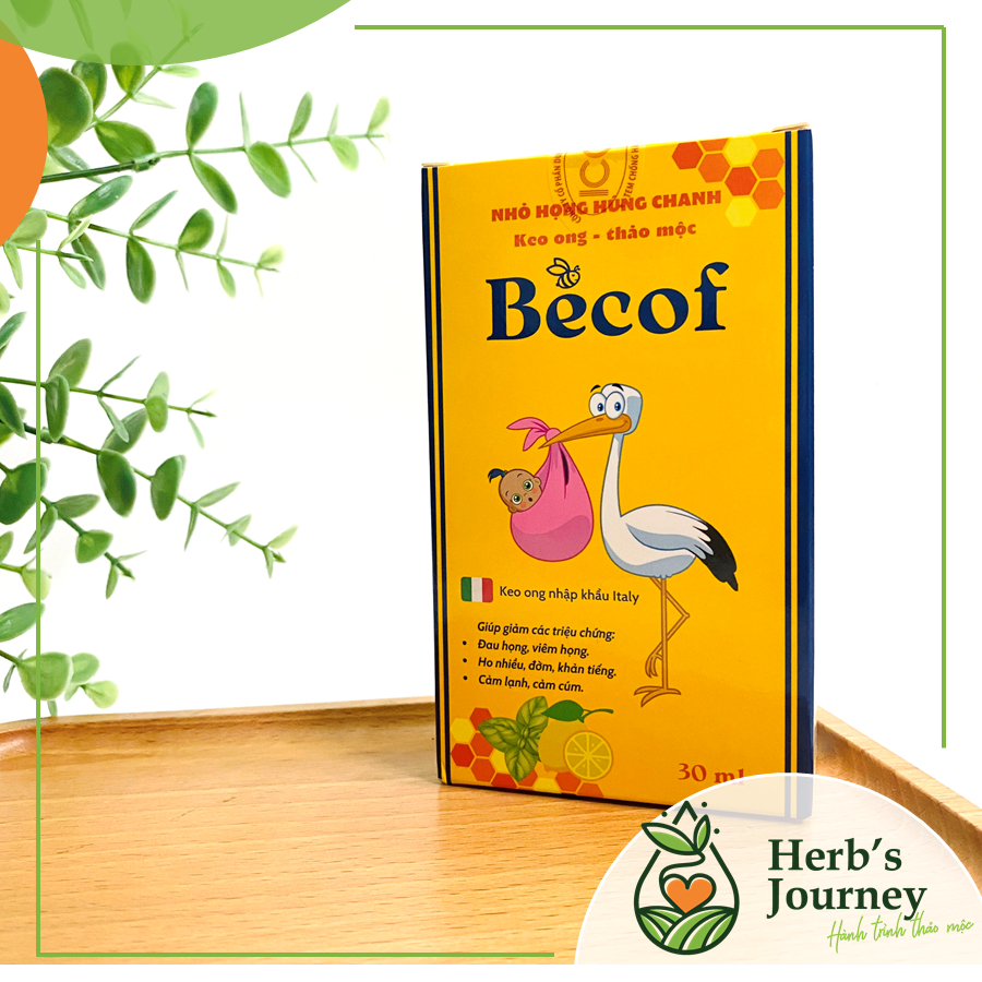Nhỏ họng Becof - Nhỏ họng húng chanh, keo ong, thảo mộc - Công ty CP DP ...
