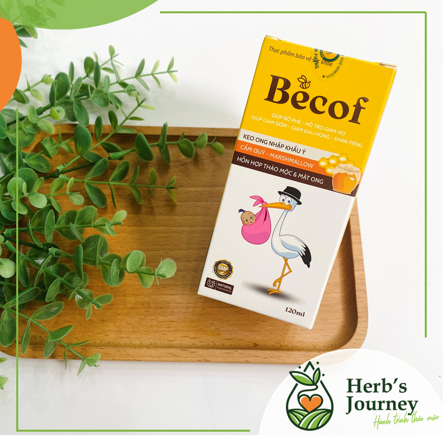 Siro ho Becof 120ml - nhỏ họng húng chanh keo ong, thảo mộc